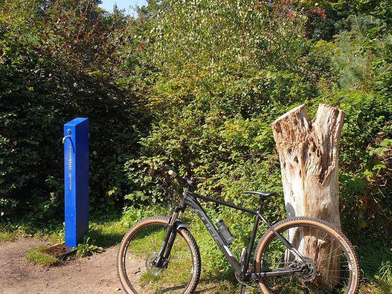 Ermelo - Blauwe Route | mountain bike ride | Komoot
