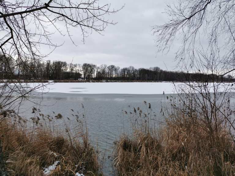 Baggersee Ingolstadt Routes for Walking and Hiking | Komoot