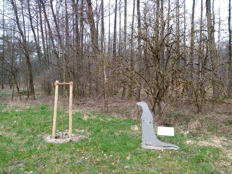 Otter Trail Station 5 – Barren Waterway – Hiking & Cycling Routes | Komoot