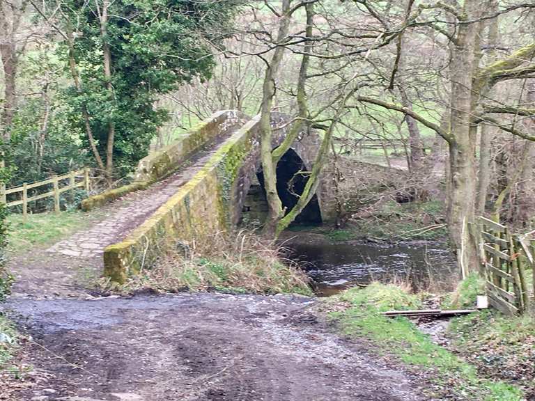 Dob Park Bridge Routes for Walking and Hiking | Komoot