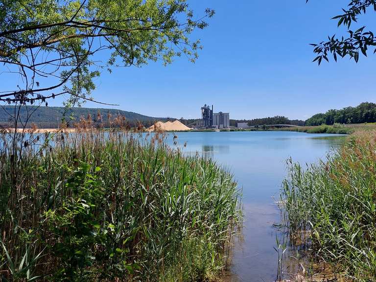 Bögl Weiher (Baggersee Schlierfer Heide): Mountainbike-Touren und ...