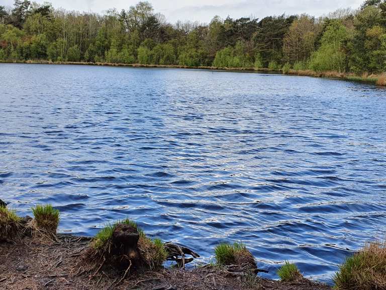 Natuurreservaat reestdal wandelroutes en hikes | Komoot