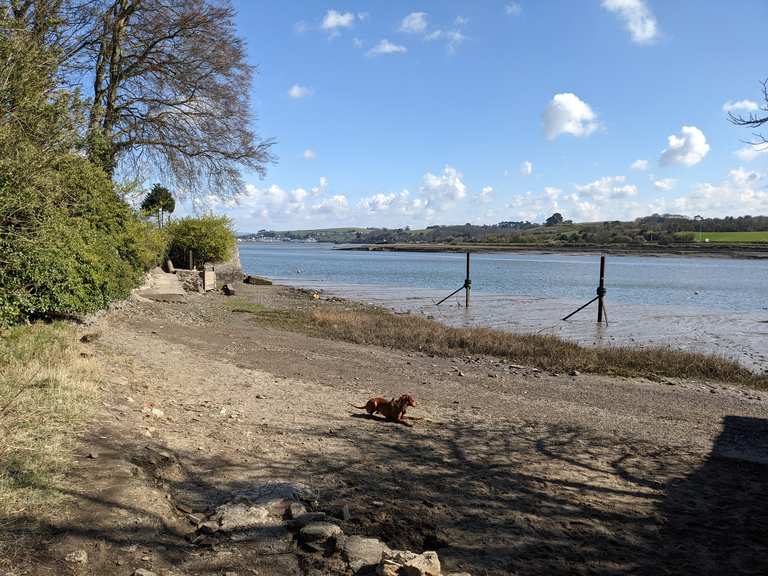 Appledore & River Torridge — North Devon | hike | Komoot