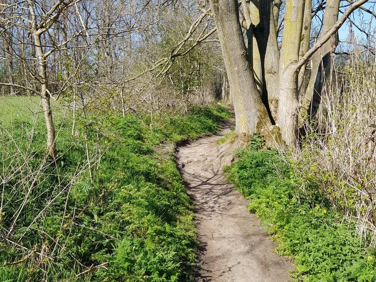 Bartje Voetbrug wandelroutes en hikes | Komoot