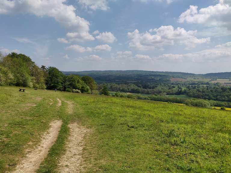 White Downs & Hackhurst Downs Schleife von Abinger Roughs — Surrey ...