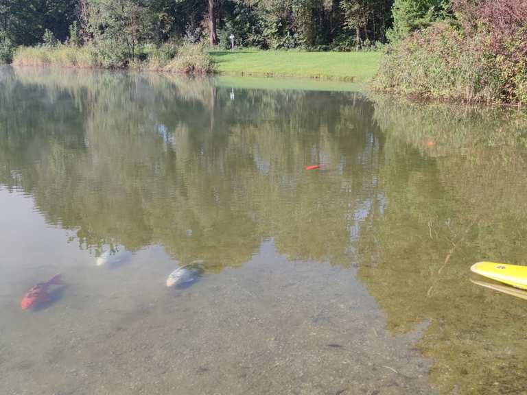 Erlebnisgaststätte Erlensee bei Schechen : Radtouren und Radwege | komoot