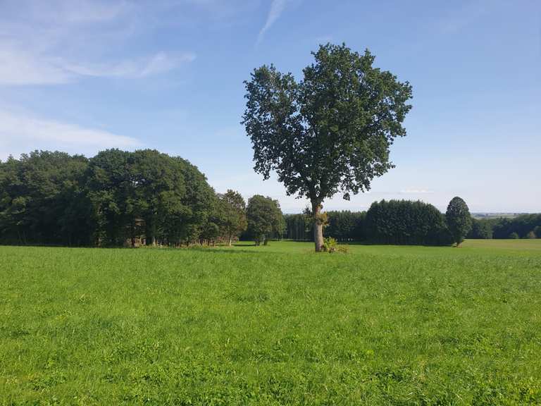Kneiff 560m - Höchster Berg von Luxemburg: Rennradfahren und ...