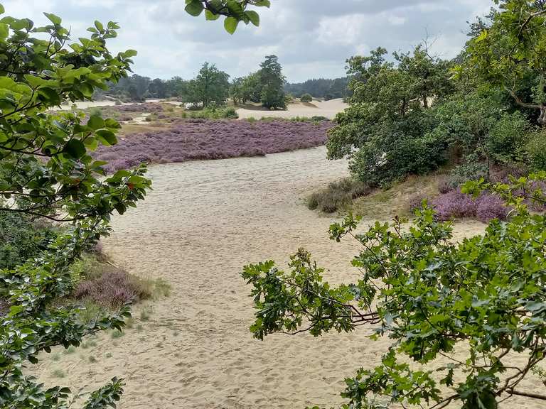 Soesterduinen - Cycle Routes and Map | Komoot