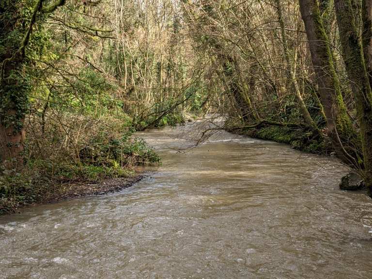 Mells river path – Talbot Inn Loop from Great Elm | hike | Komoot