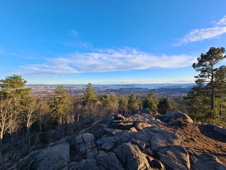 View of Oslo from Vettakollen Routes for Walking and Hiking | Komoot