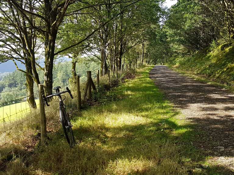 Brechfa Forest trail centre - Mountain Bike Trails & Tracks | Komoot