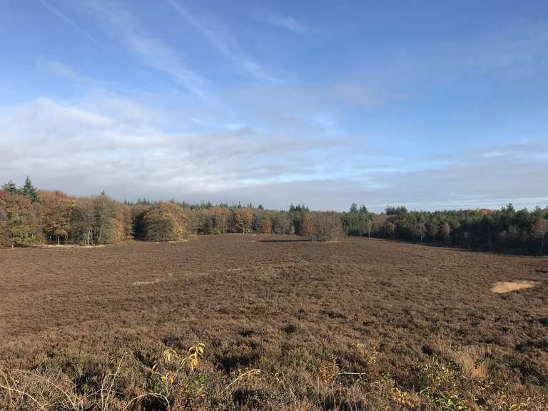 Aussichtspunkt Moorlandschaft hinter Heerderstrand: Wanderungen und ...