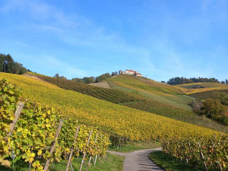 Weinberge Routes for Walking and Hiking | Komoot