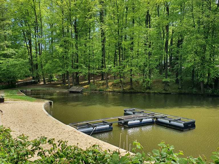 Elisabethsee: Wanderungen und Rundwege | komoot