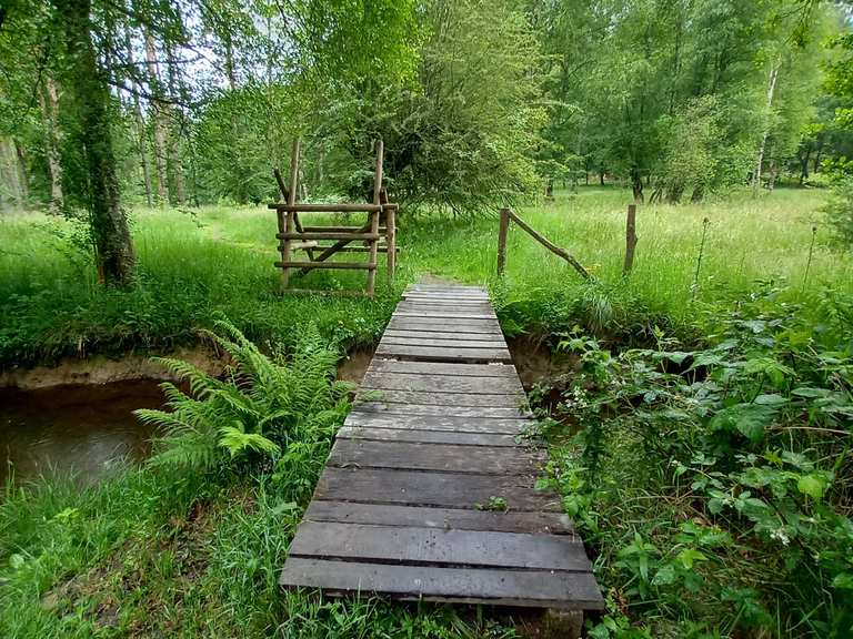 Naturpark Obersauer Forêt d'Anlier: Wanderungen und Rundwege | komoot