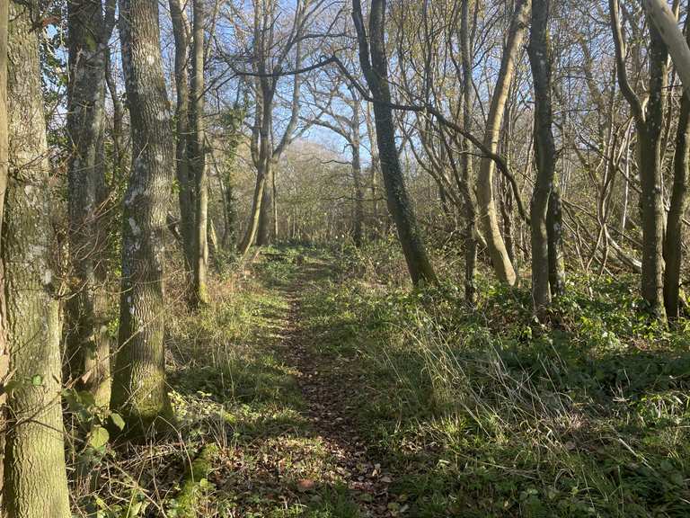 Stelling Minnis nach Spong Woods Schleife über St Mary the Virgin ...