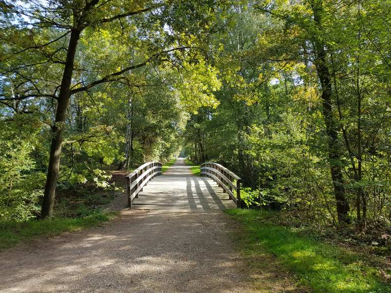 Een tijdreis door schitterende natuur – Het nieuwe rondje Twente ...