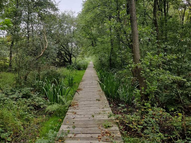 Natuurreservaat wandelroutes en hikes | Komoot