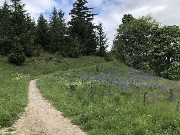 Gisburn Forest The 8 Red loop — Forest of Bowland | mountain bike ride ...