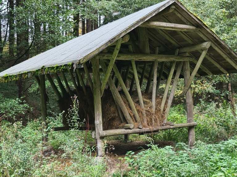 Herbert Pohl Stein: Wanderungen und Rundwege | komoot