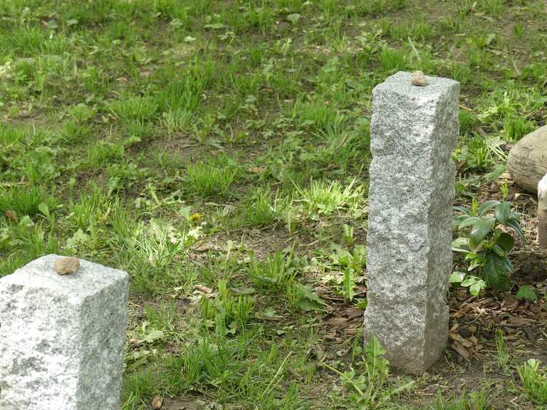 Prato di frutteti e api : percorsi ciclabili | Komoot