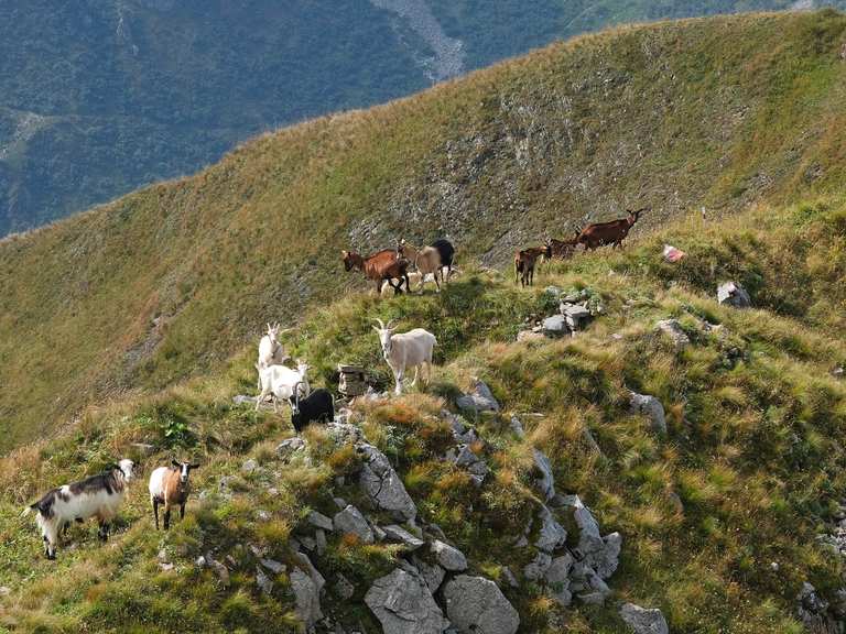Cuestalta – Hoher Trieb Summit and Ruins - Routes and Map | Komoot