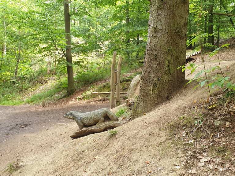 Der Dachsbau: Wanderungen und Rundwege | komoot