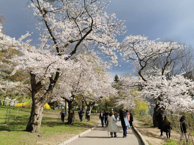 High Park loop — Toronto | hike | Komoot