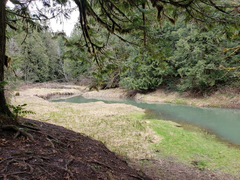 Boucle Henry Hagg Lake Trail via Southwest West Shore Drive — Scoggins ...