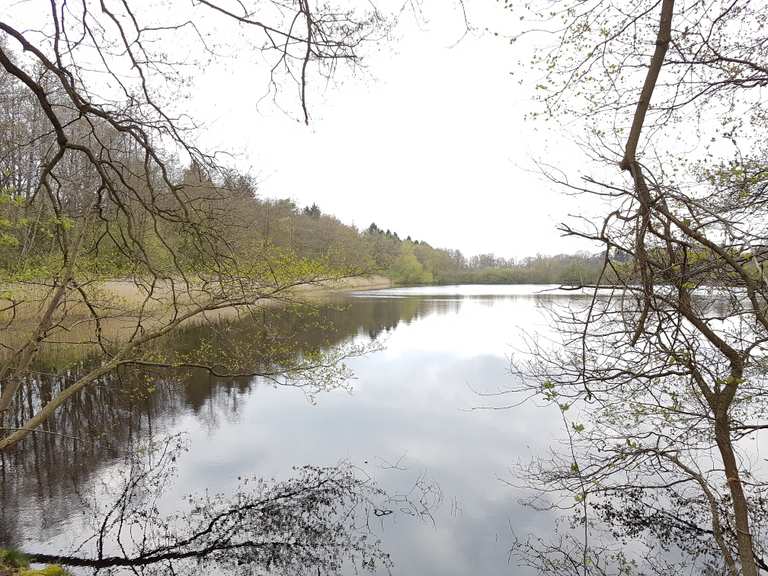 Sunder Seen mit Seerosen und kapitalen Karpfen : Radtouren und Radwege ...