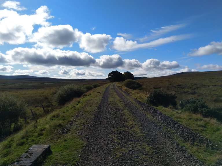 The Dava Way loop from Grantown-on-Spey — Cairngorms National Park ...