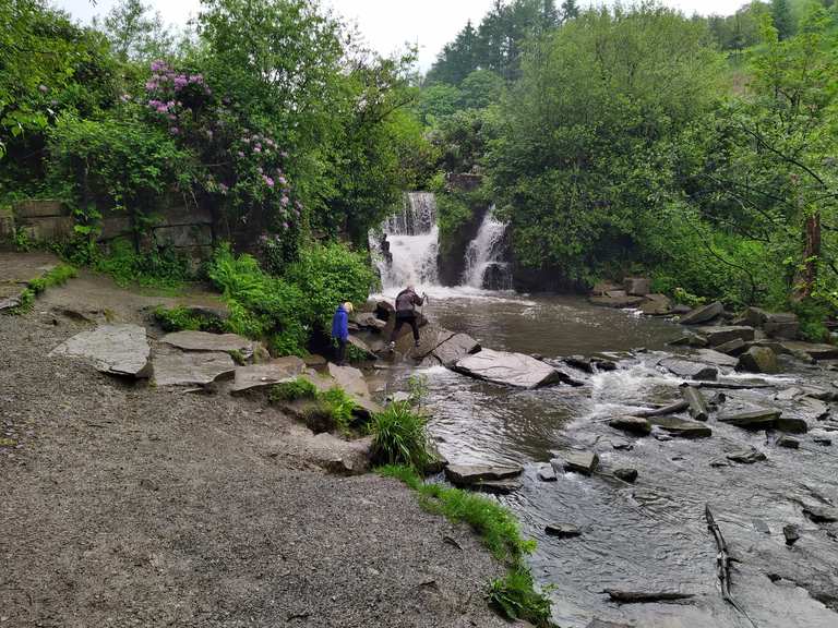Penllergare Valley Woods to Lake Side loop | hike | Komoot