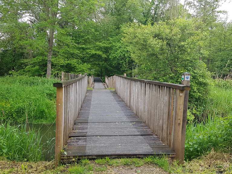 Natuurreservaat De Goort: Wanderungen und Rundwege | komoot