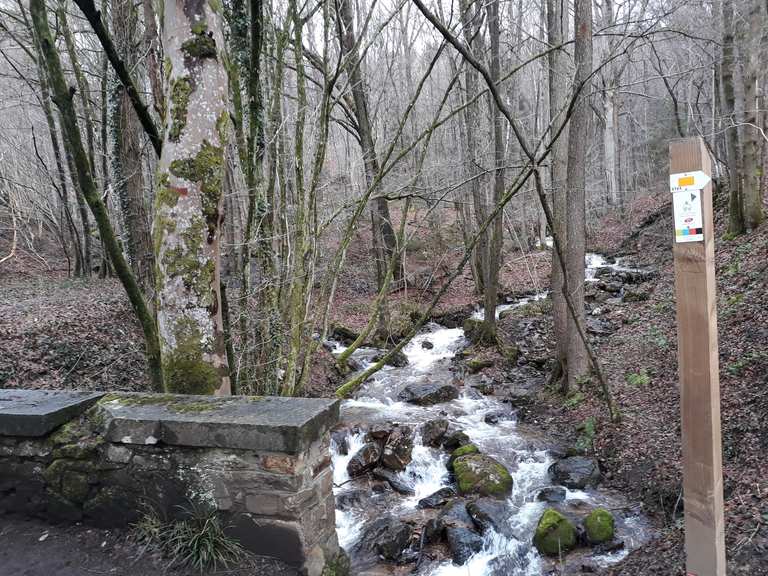Ruisseau de Nonnon Ruy - Itinéraires de rando et marche | Komoot