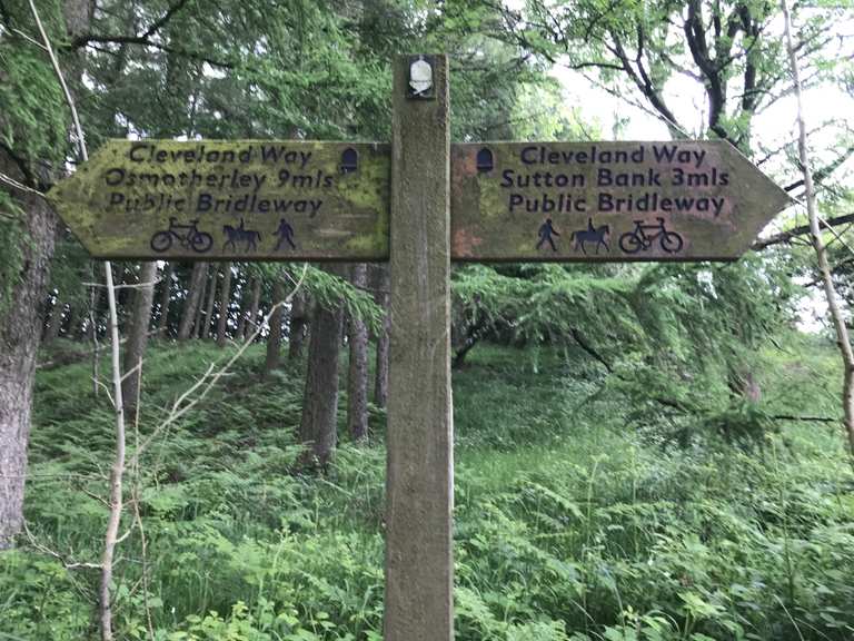 Paradise Trail (red) — Sutton Bank MTB trails | mountain bike ride | Komoot