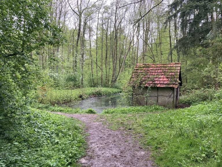 Deckenbach – Bachquerung Loop from Homberg (Ohm) | hike | Komoot