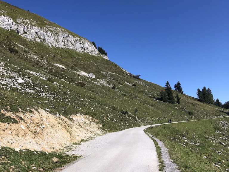 Trattberg Road (St. Koloman to Enzianhütte) – Cycling Routes & How to ...