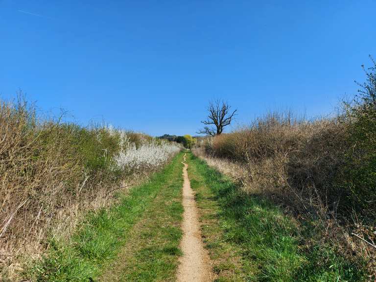 Shotover hill loop from Oxford | mountain bike ride | Komoot