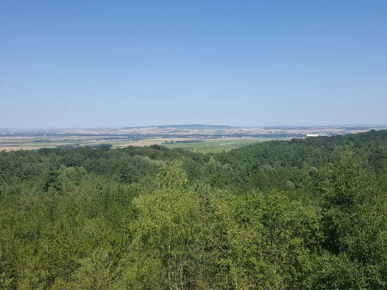 Sentier géologique autour de Mailly-Champagne — Parc naturel régional ...