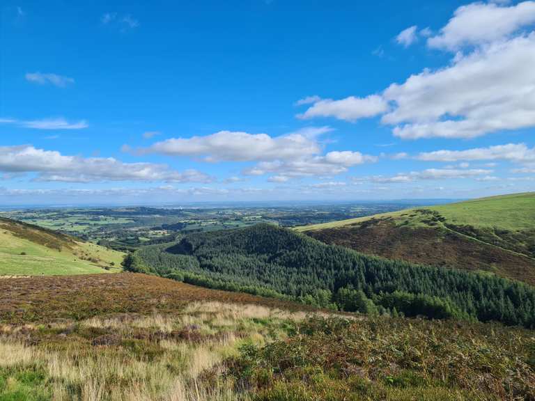 Moel Arthur Routes for Walking and Hiking | Komoot
