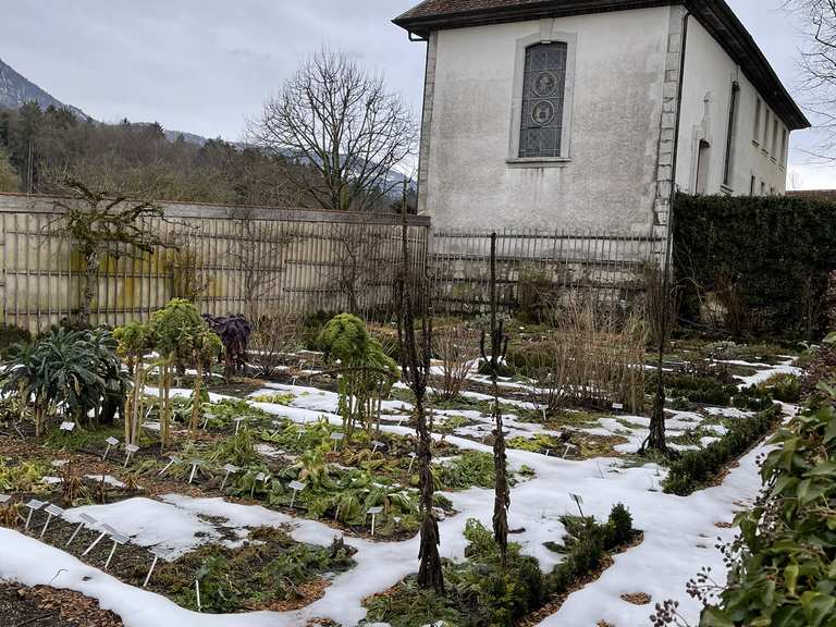 Waldegg Castle Routes for Walking and Hiking | Komoot