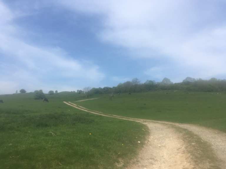 Haresfield Beacon Routes for Walking and Hiking | Komoot