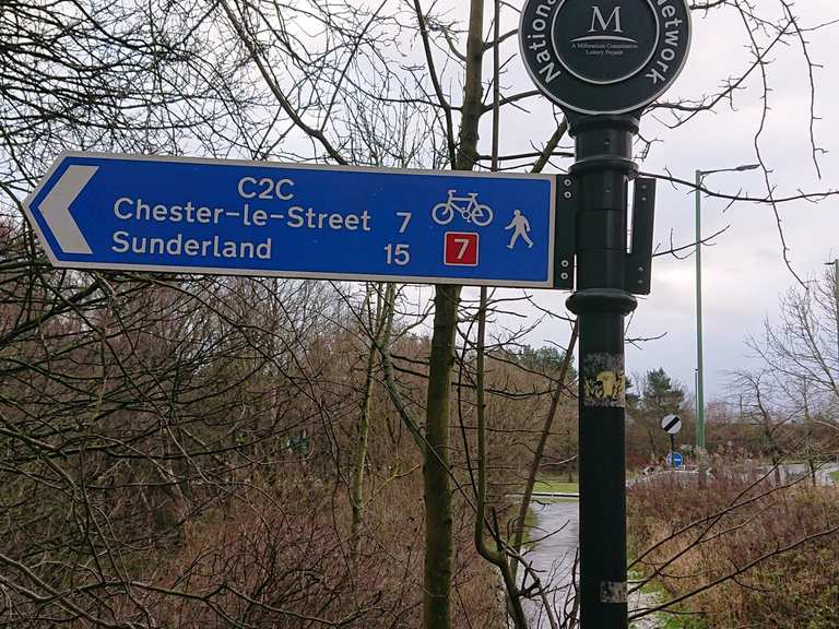 Old Waggon Way – Causey Arch loop from Beamish | hike | Komoot