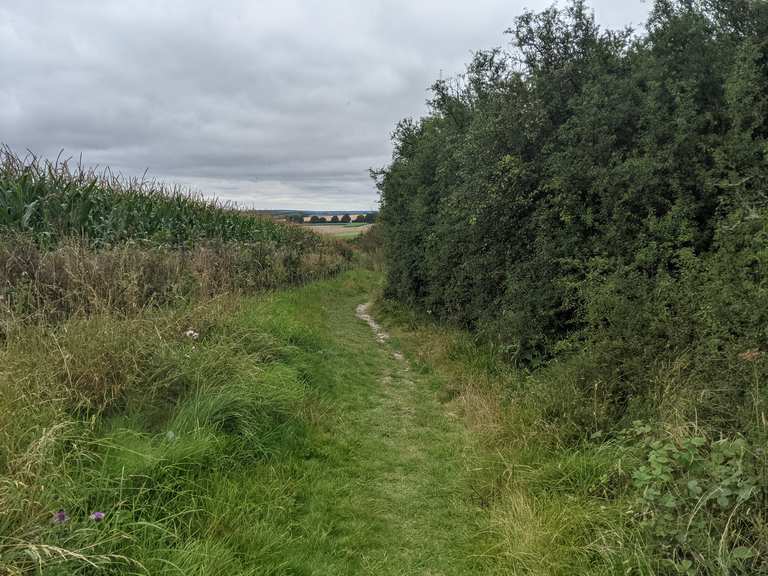watership-down-routes-for-walking-and-hiking-komoot