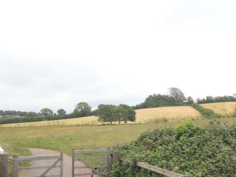 Exe Estuary Trail Boardwalk - Cycle Routes and Map | Komoot