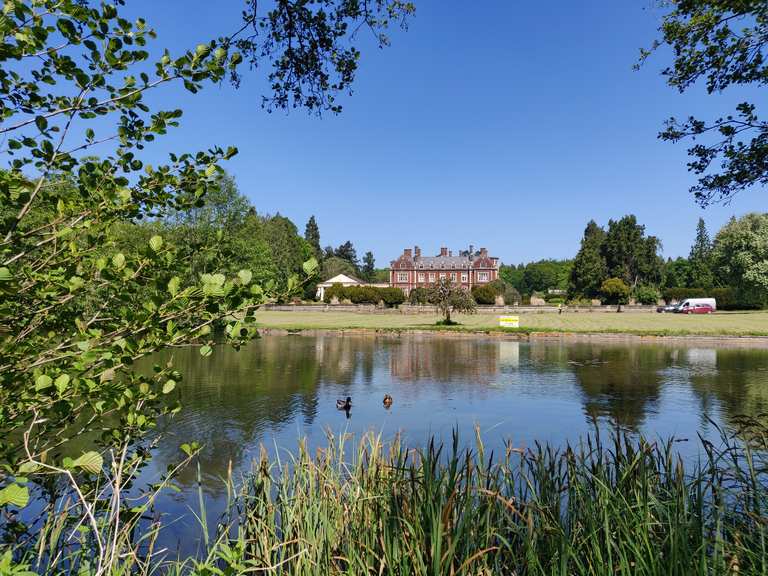 Lynford Water & Lynford Arboretum loop | hike | Komoot