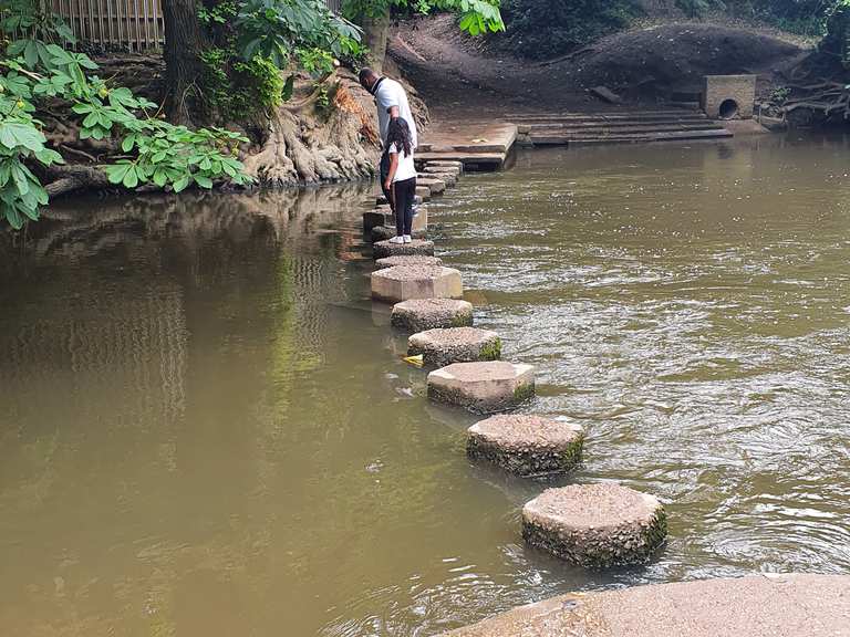 River Mole stepping stones Routes for Walking and Hiking | Komoot