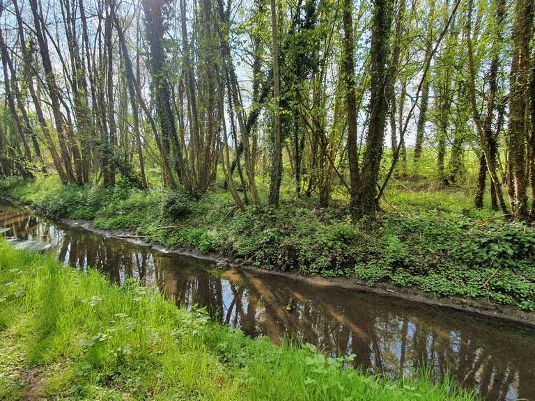 Park Tervuren – Feeding path - Path along water loop from Joséphine ...