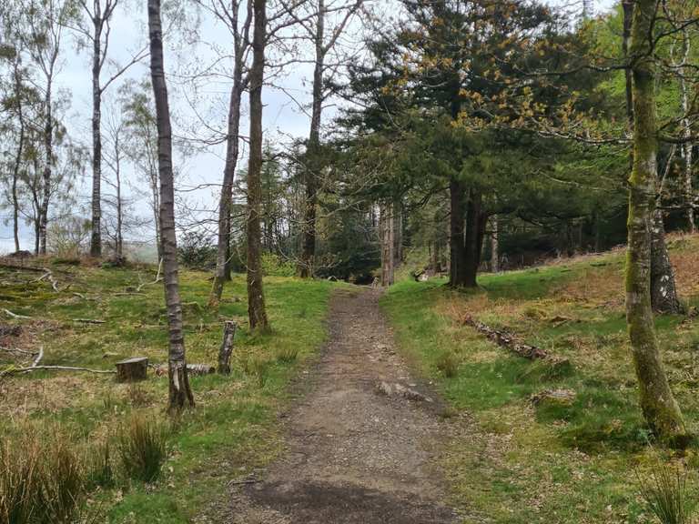 Tarn Hows & the Cumbria Way loop from Monk Coniston — Lake District ...