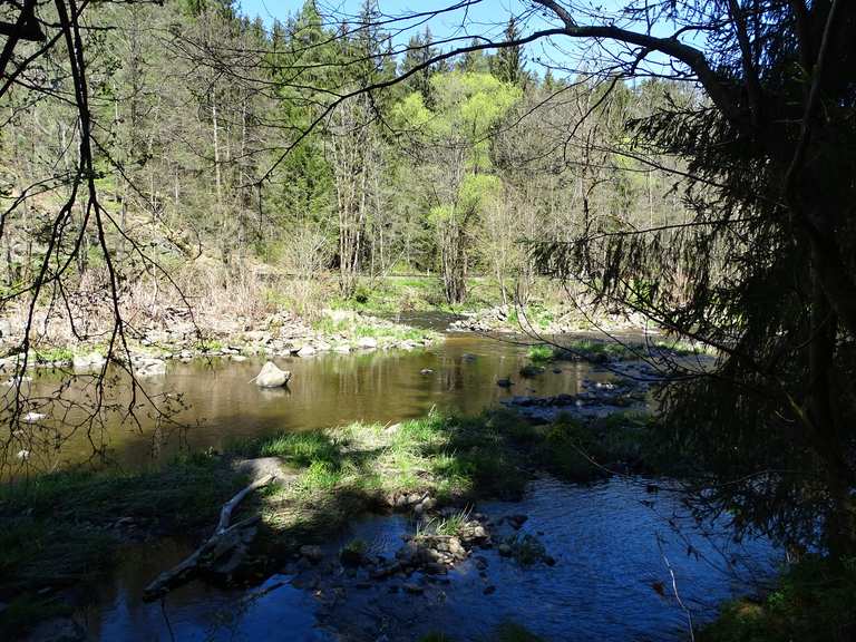 Schwarzer Regen im Bayerischen Kanada: Wanderungen und Rundwege | komoot